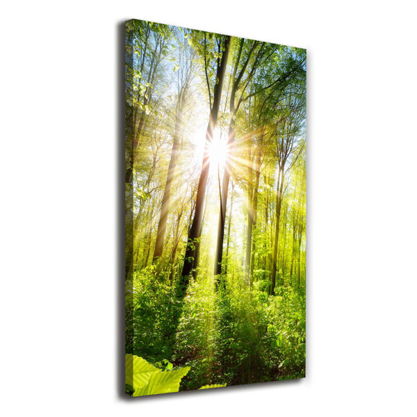 Union Rustic Sonne im Wald - Kunstdrucke auf Leinwand | Wayfair.de